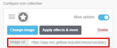 Why Custom Icons Do Not Display Correctly in PromoMats When Using BEE ...